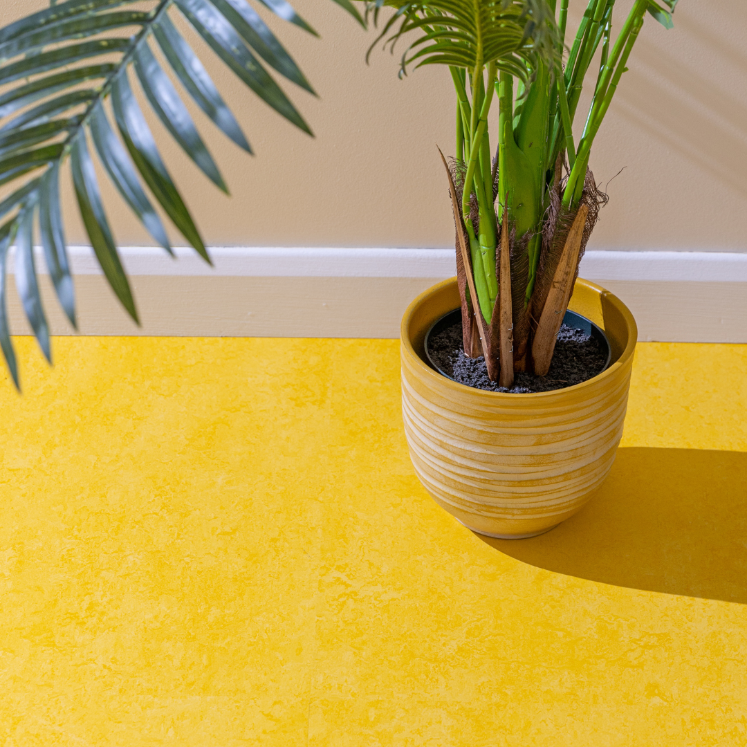 Lemon Zest (Yellow) Marmoleum Click Linoleum Flooring | Forbo