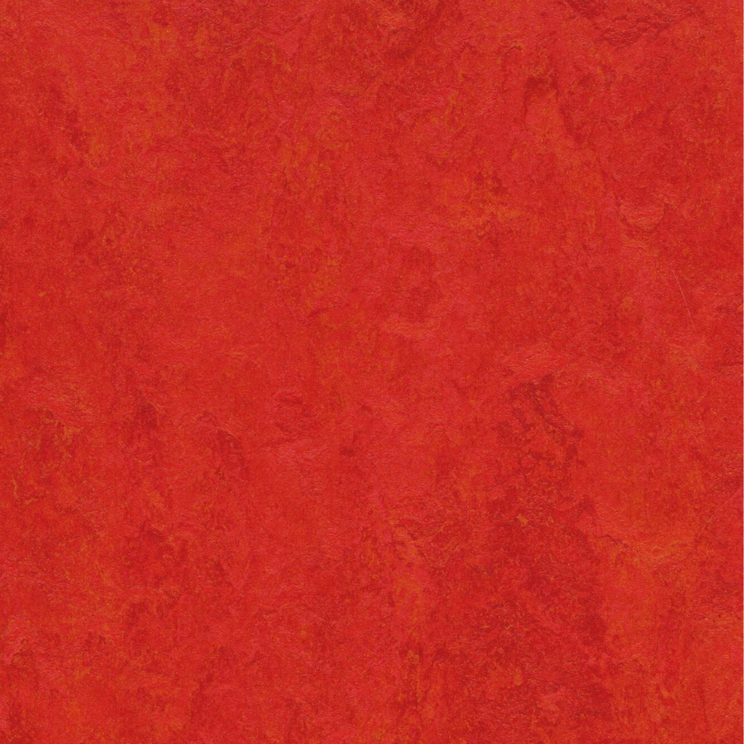 Scarlet (Red) Marmoleum Click Linoleum Flooring 30 x 30cm | Forbo